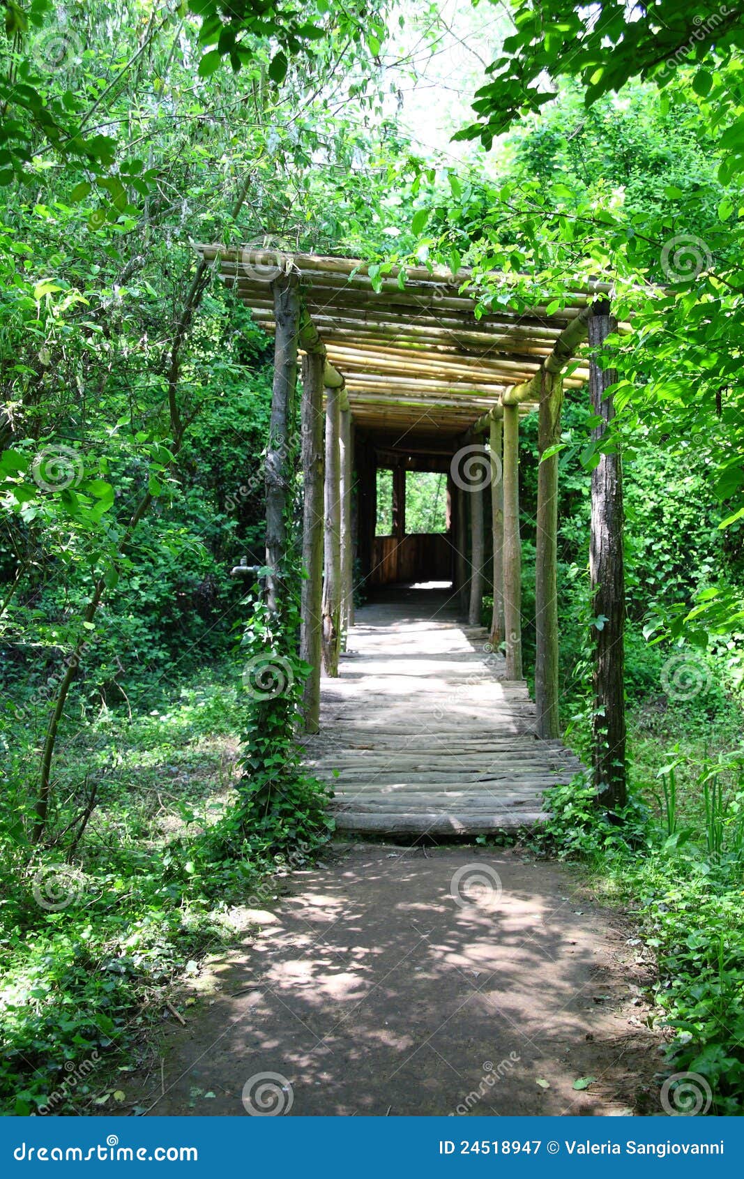 Tunnels in the wood stock image. Image of flower, doors - 24518947