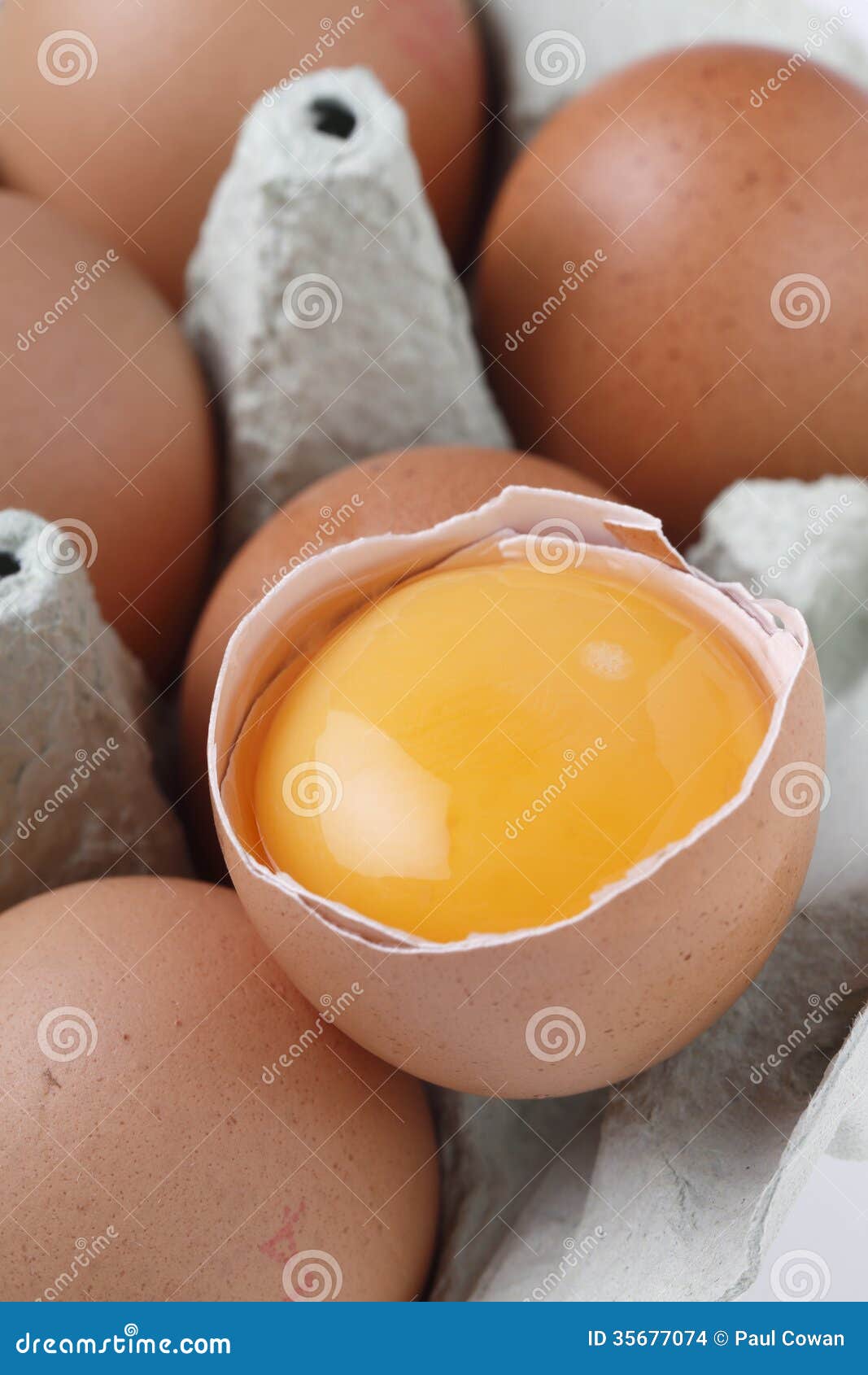 Tuorlo Separato Nelle Coperture Fotografia Stock - Immagine di tuorlo ...