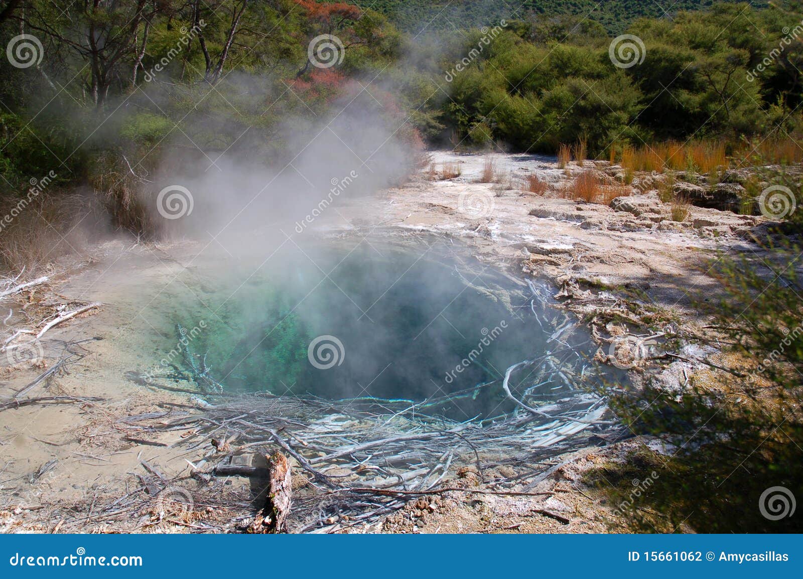 Turangi Hot Springs stock photo. Image of water, turangi - 15661062