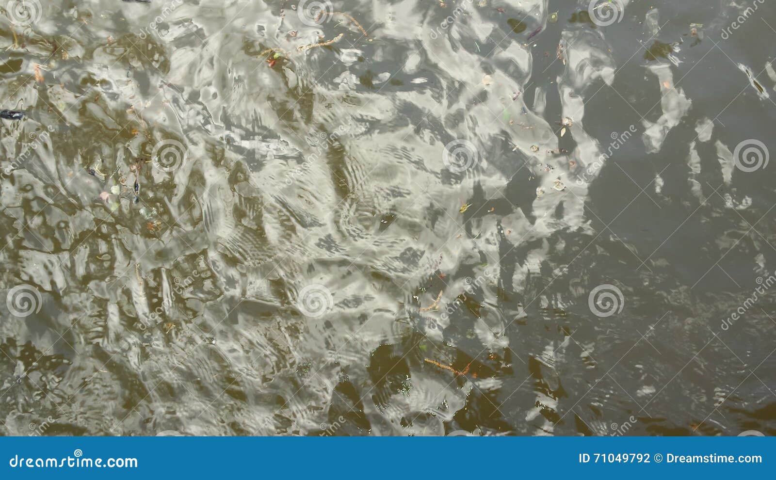 Turbid water stock photo. Image of dirty, environment - 71049792