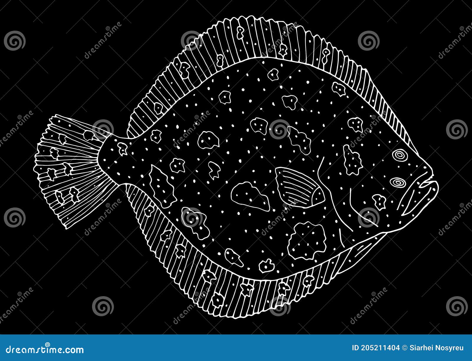Turbot Fish Hand Drawn. White Contour Of Fish On Black Background ...