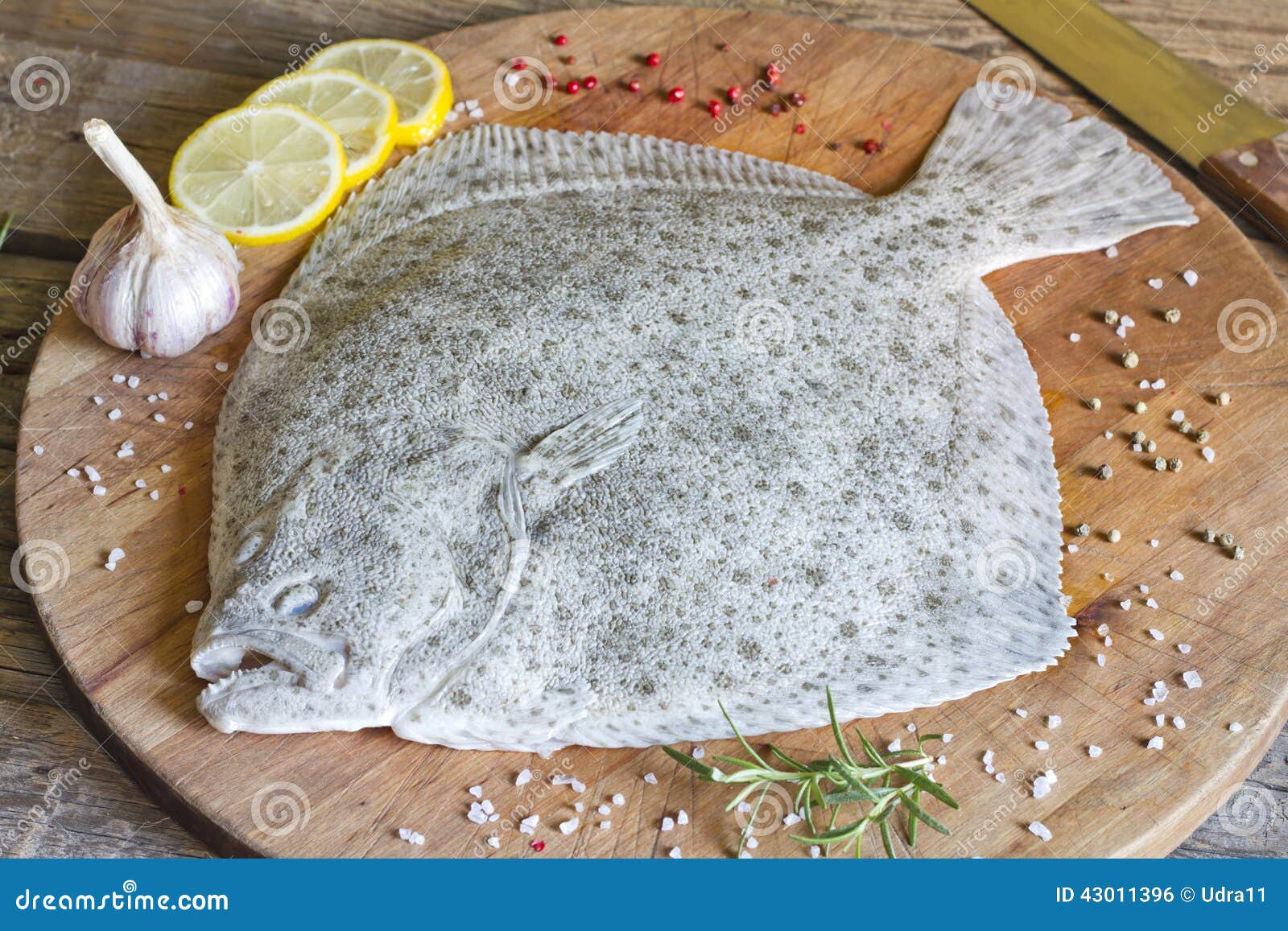 Turbot Fish Stock Photo | CartoonDealer.com #32264796