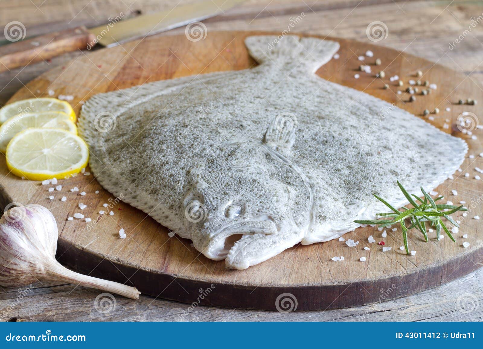 Turbot fish in the kitchen stock photo. Image of seafood - 43011412