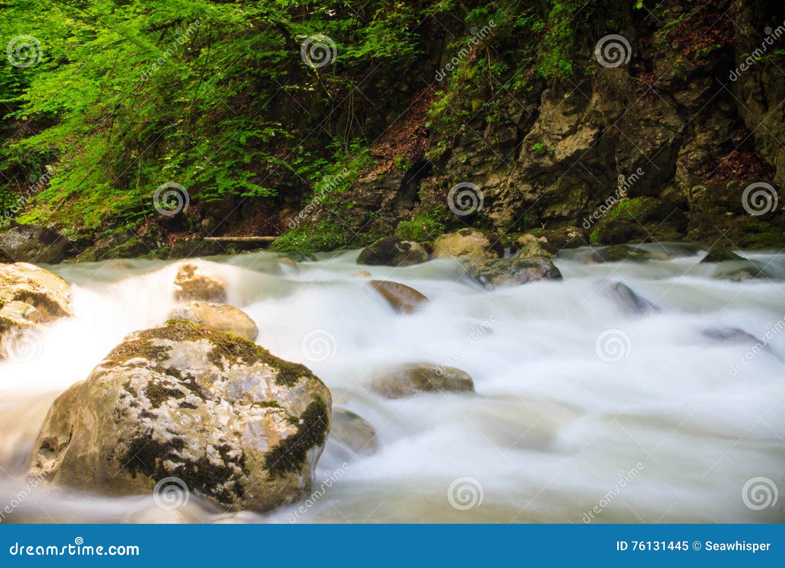 Turbulent Mountain River Flowing Stock Image - Image of nature, summer ...