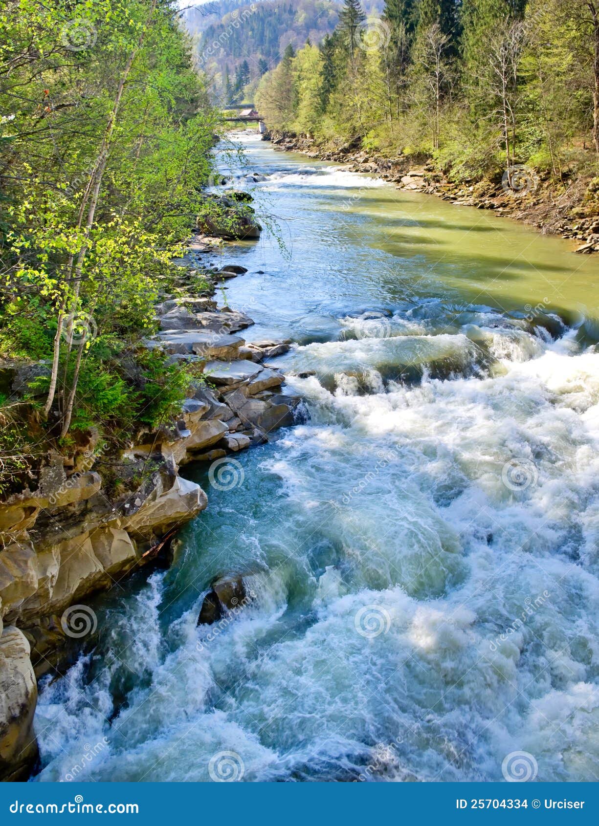 Turbulent Mountain River in the Spring Stock Photo - Image of land ...