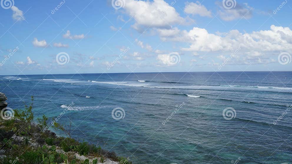 Turco Grande Em Ilhas Turcos E Caicos Imagem de Stock - Imagem de cenas ...