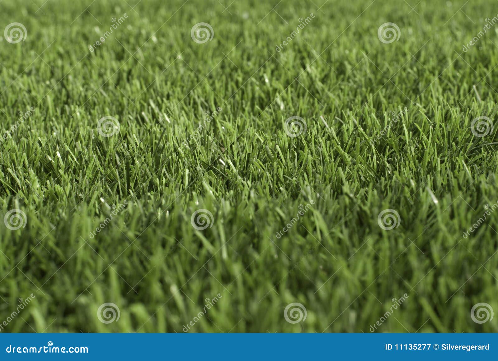 Turf stock image. Image of focus, background, natural - 11135277