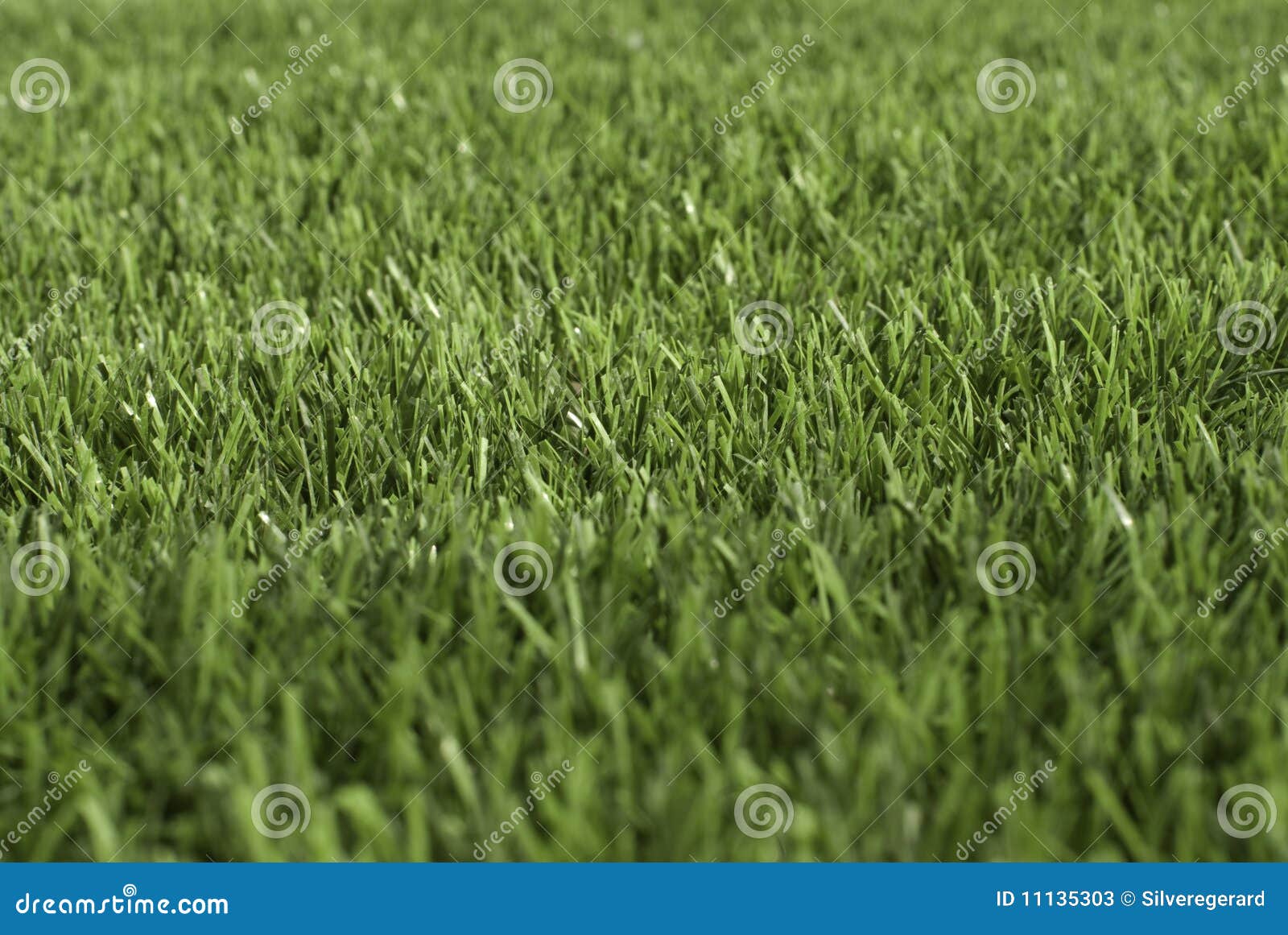 Turf stock image. Image of lawn, environment, color, background - 11135303
