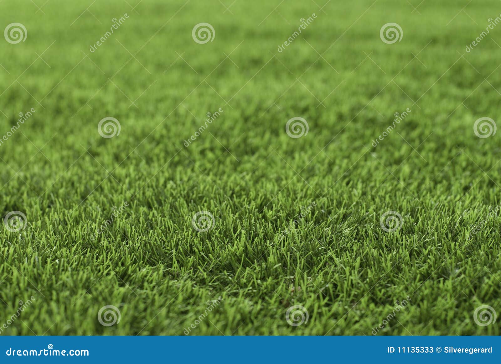 Turf stock image. Image of garden, grass, macro, background - 11135333