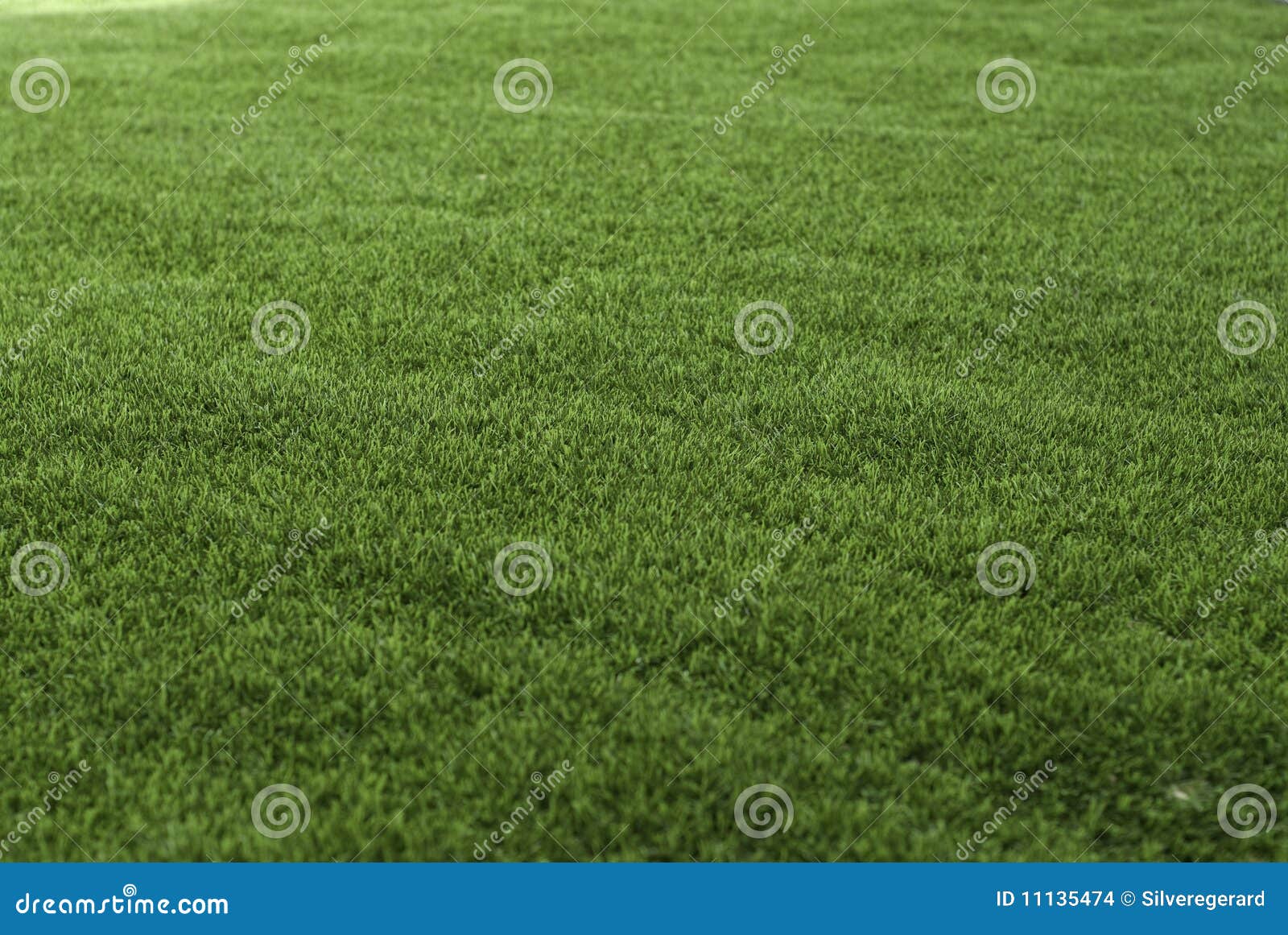Turf stock photo. Image of daytime, nature, flora, field - 11135474
