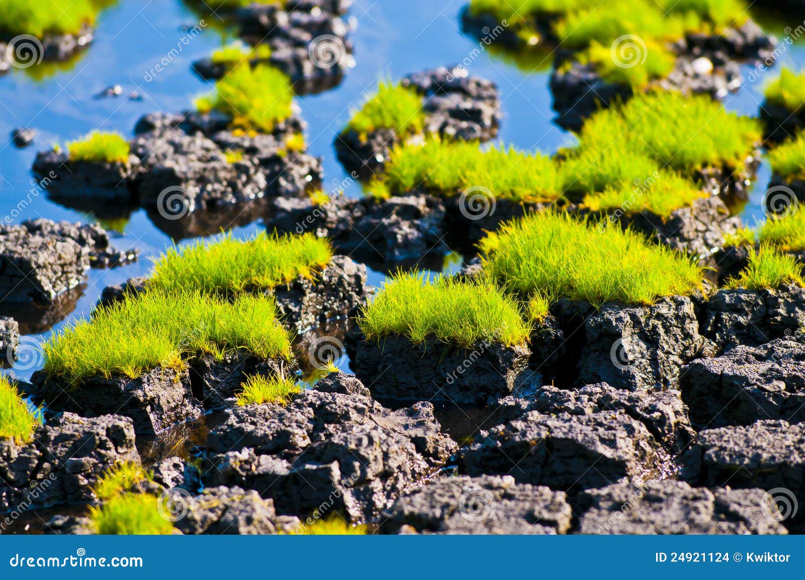 Turf stock photo. Image of background, plant, peat, gardening - 24921124