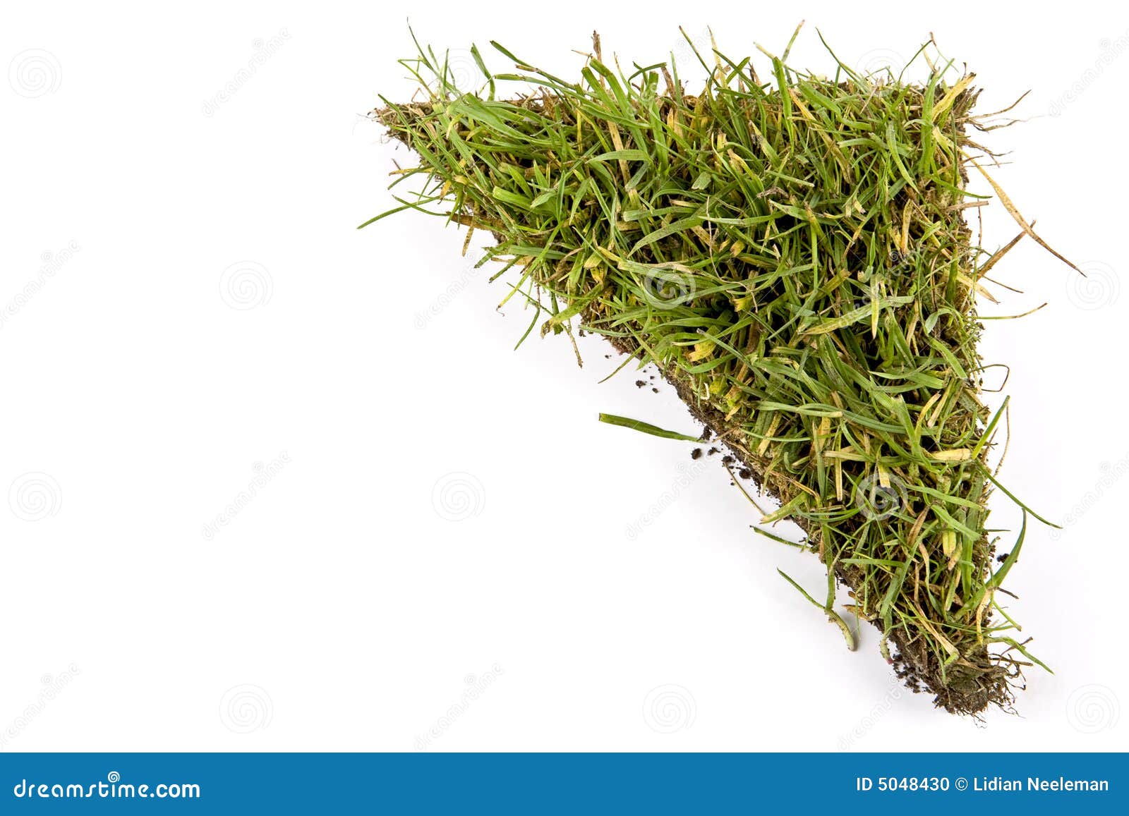 Turf stock photo. Image of background, roots, closeup - 5048430