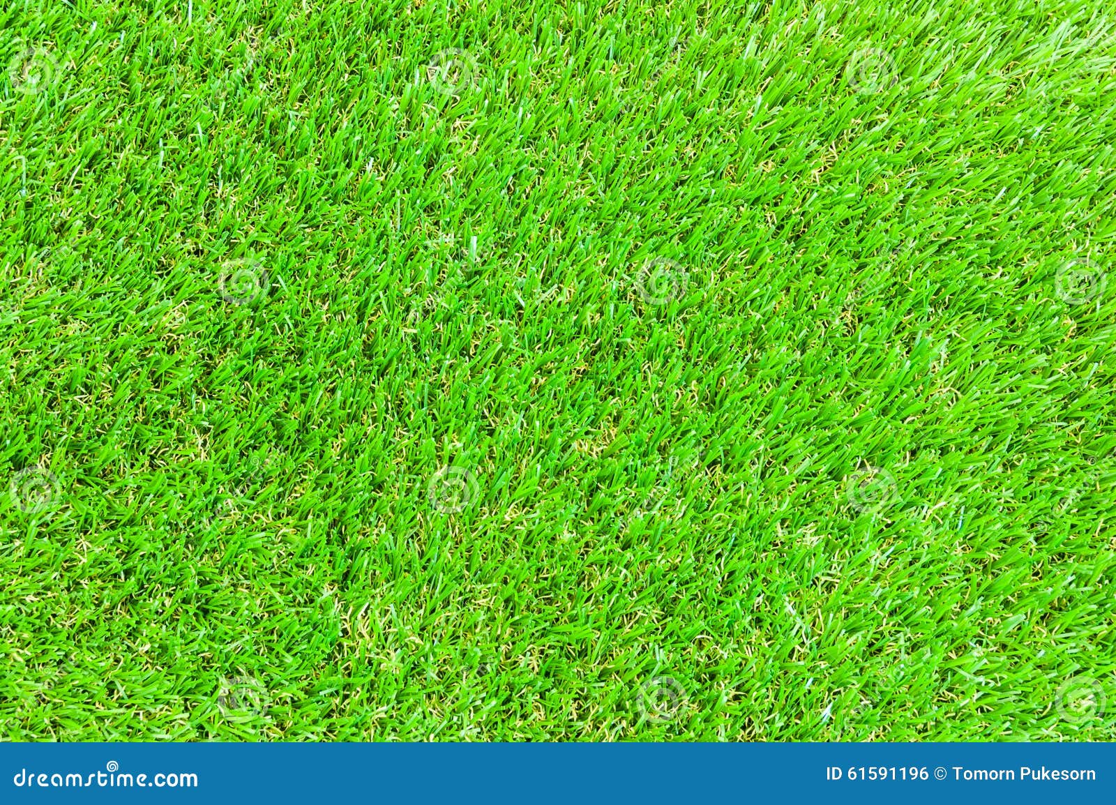 Turf background stock photo. Image of wallpaper, landscape - 61591196