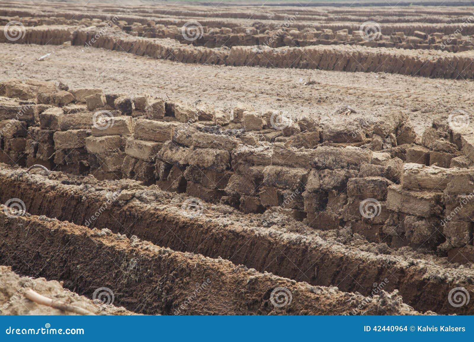 Peat field stock photo. Image of landscape, outdoors - 42440964