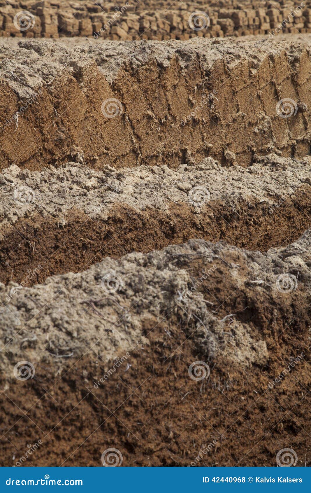 Peat field stock photo. Image of environment, outdoors - 42440968