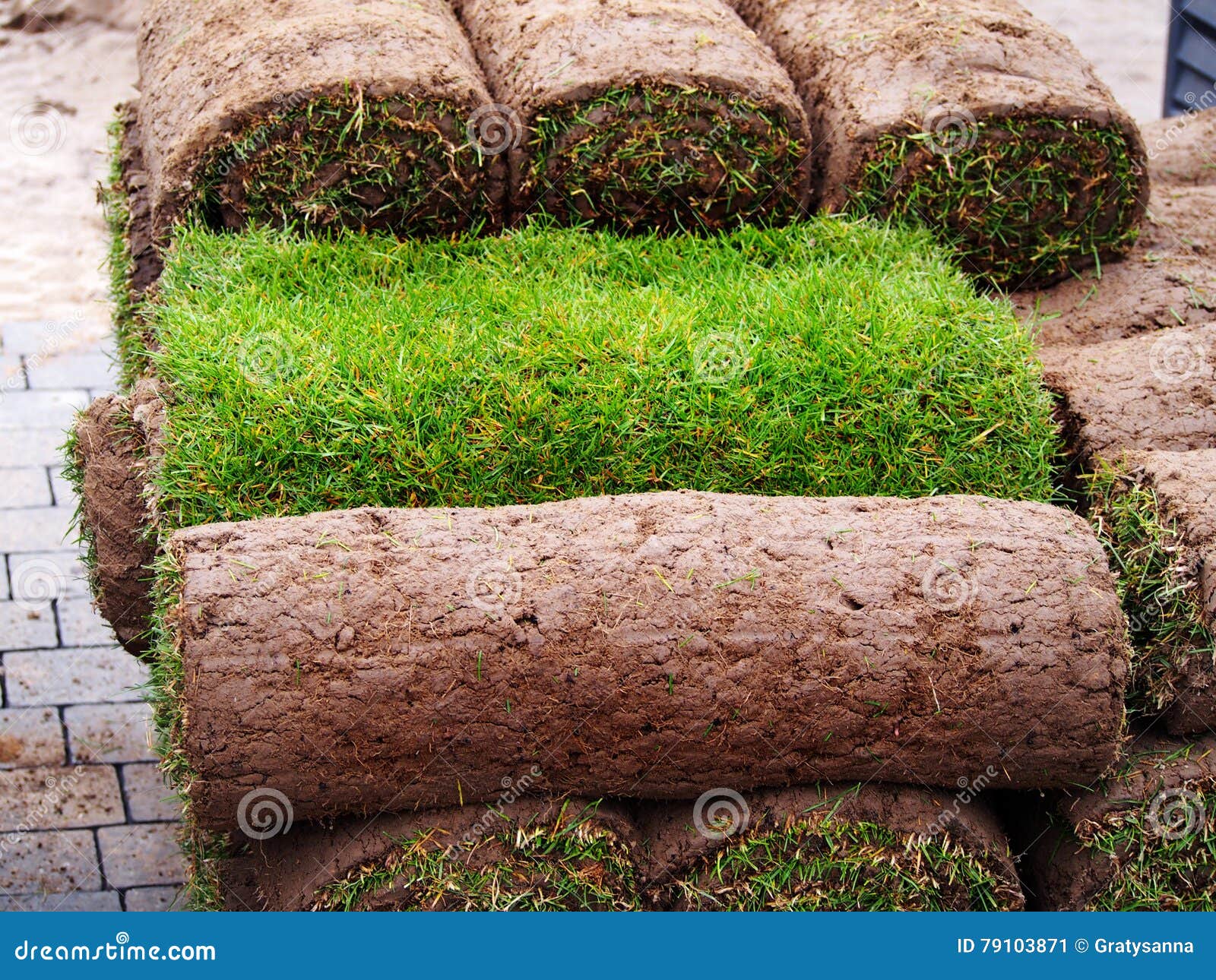 Turf grass roll stock image. Image of green, landscape - 79103871