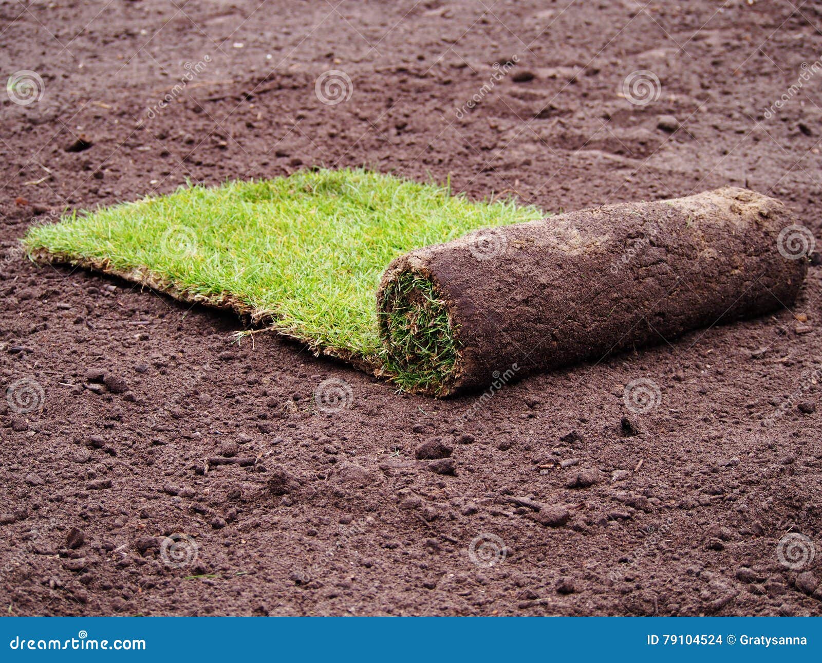 Turf grass roll stock photo. Image of landscaping, ground - 79104524