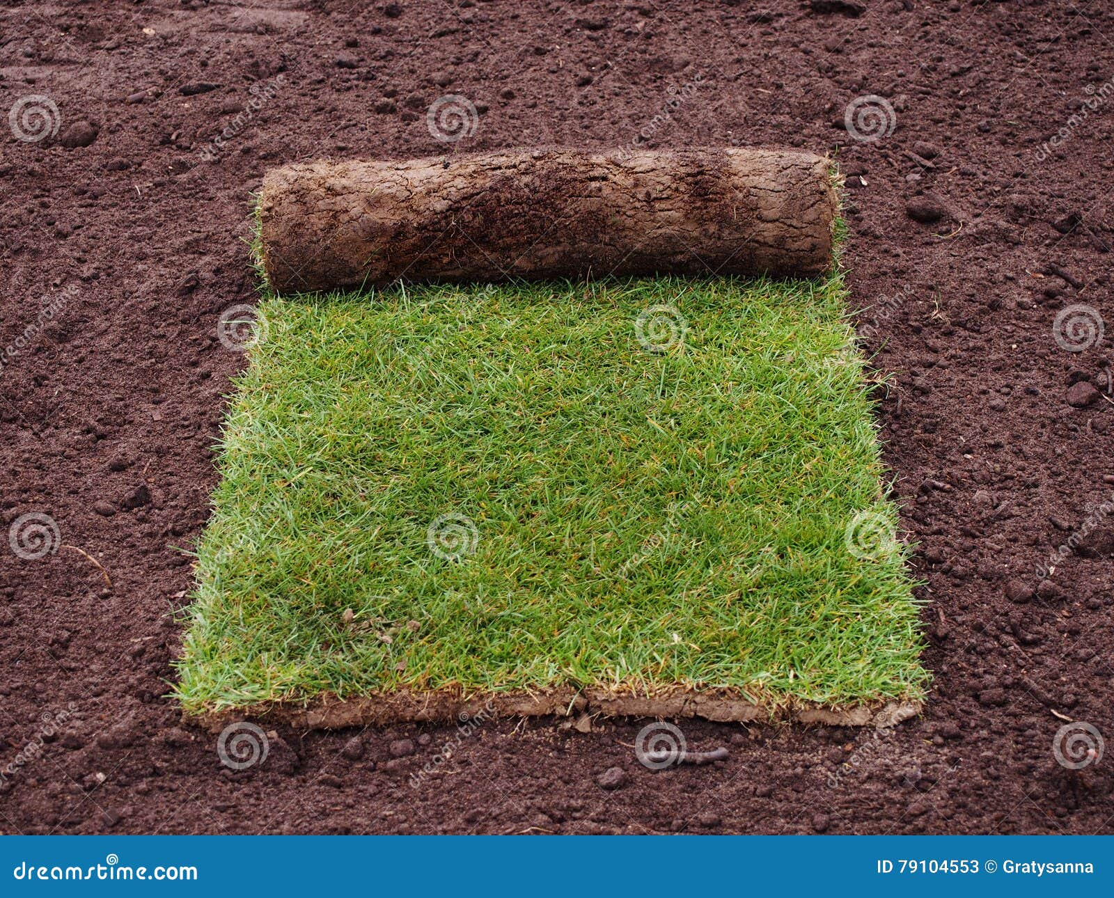 Turf grass roll stock image. Image of laying, peeled - 79104553