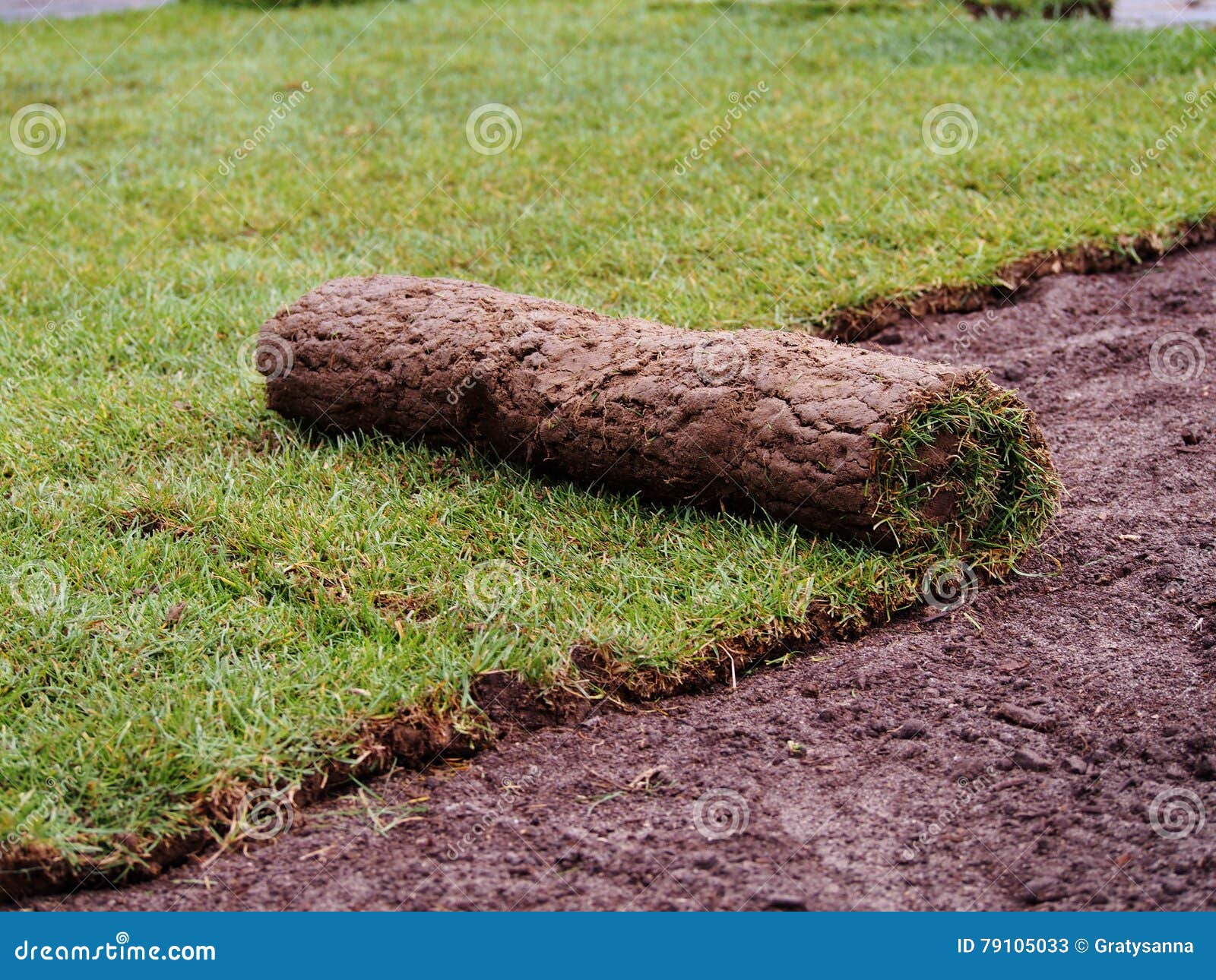 Turf grass roll stock image. Image of gardener, fresh - 79105033