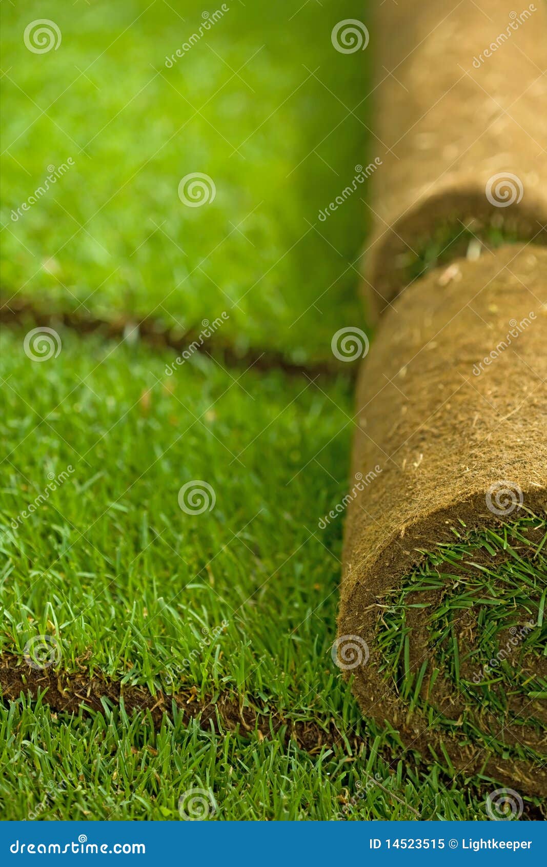 Turf Grass Rolls Royalty-Free Stock Photography | CartoonDealer.com ...