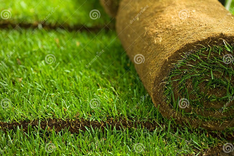 Turf grass rolls closeup stock image. Image of nature - 14252683