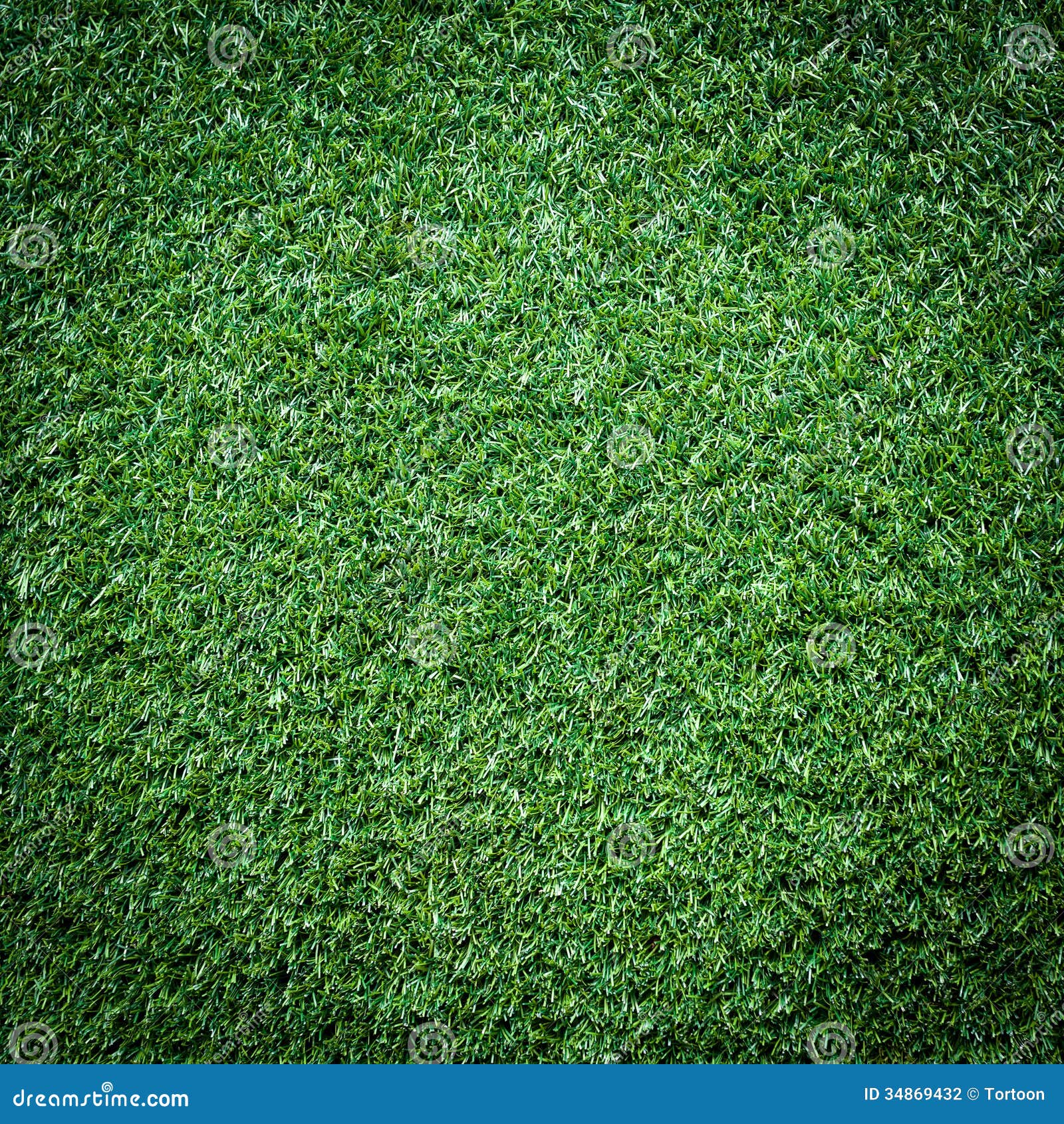 Turf Grass Texture stock photo. Image of grassland, meadow - 34869432