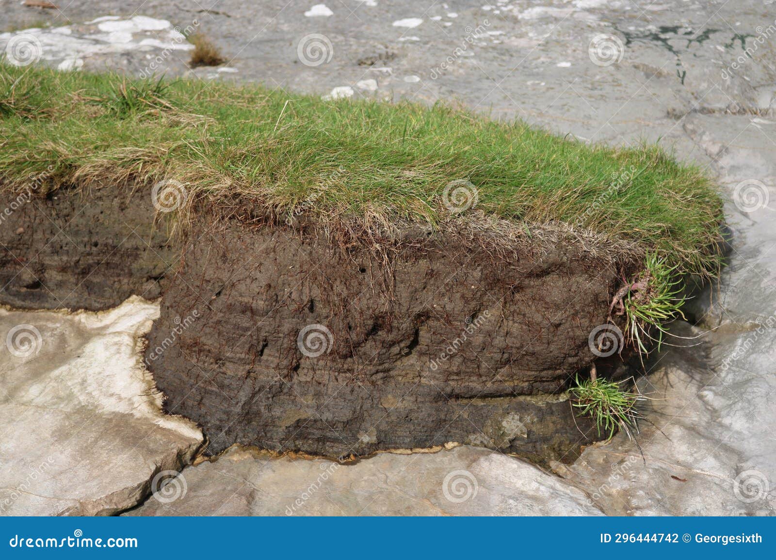 Turf on Layers of Soil on Limestone Base Stock Photo - Image of coast ...