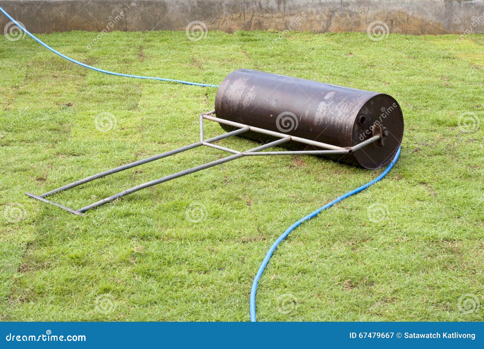 Applying Turf Unrolling New Grass Roll Royalty-Free Stock Image ...
