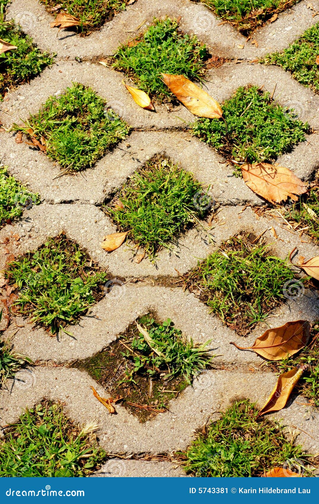Turf Stone stock image. Image of concrete, rainfall, pavement - 5743381