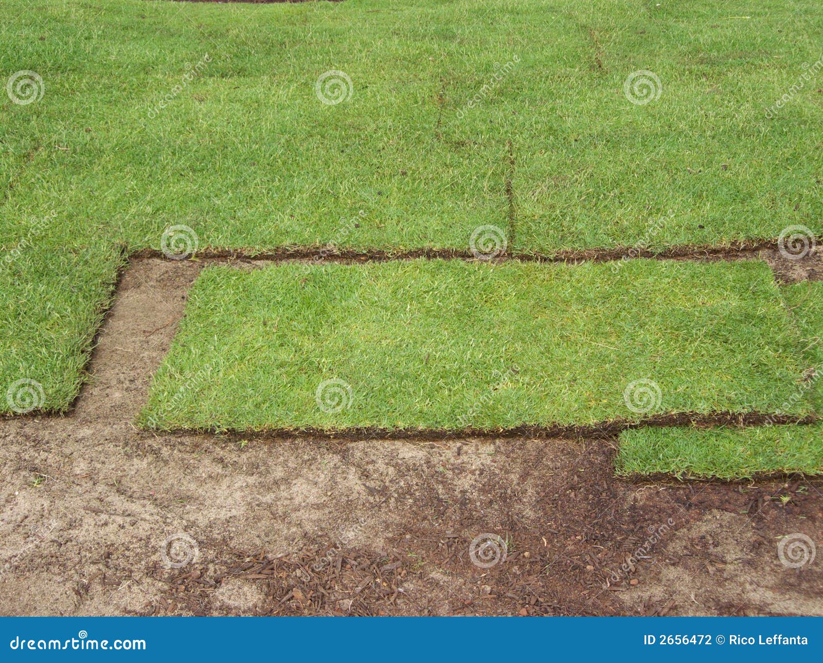 Turf wars stock photo. Image of seed, grass, earth, strip - 2656472