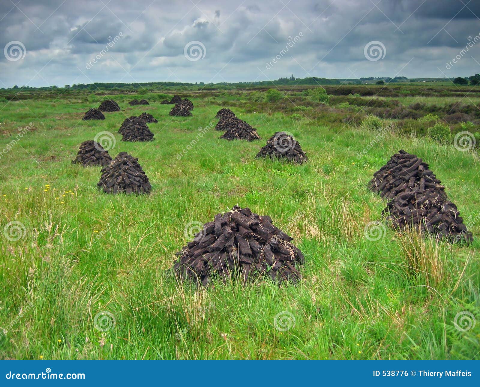 Turfa de secagem foto de stock. Imagem de tijolos, rural - 538776