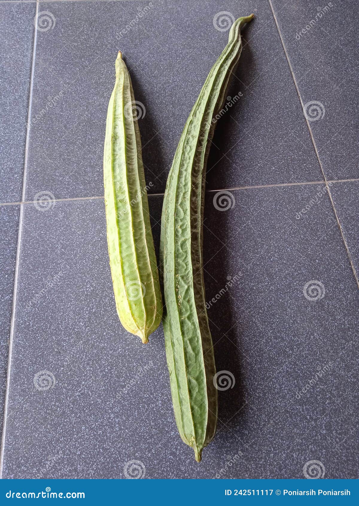 Turia Gambas stock image. Image of vegetables, meal - 242511117