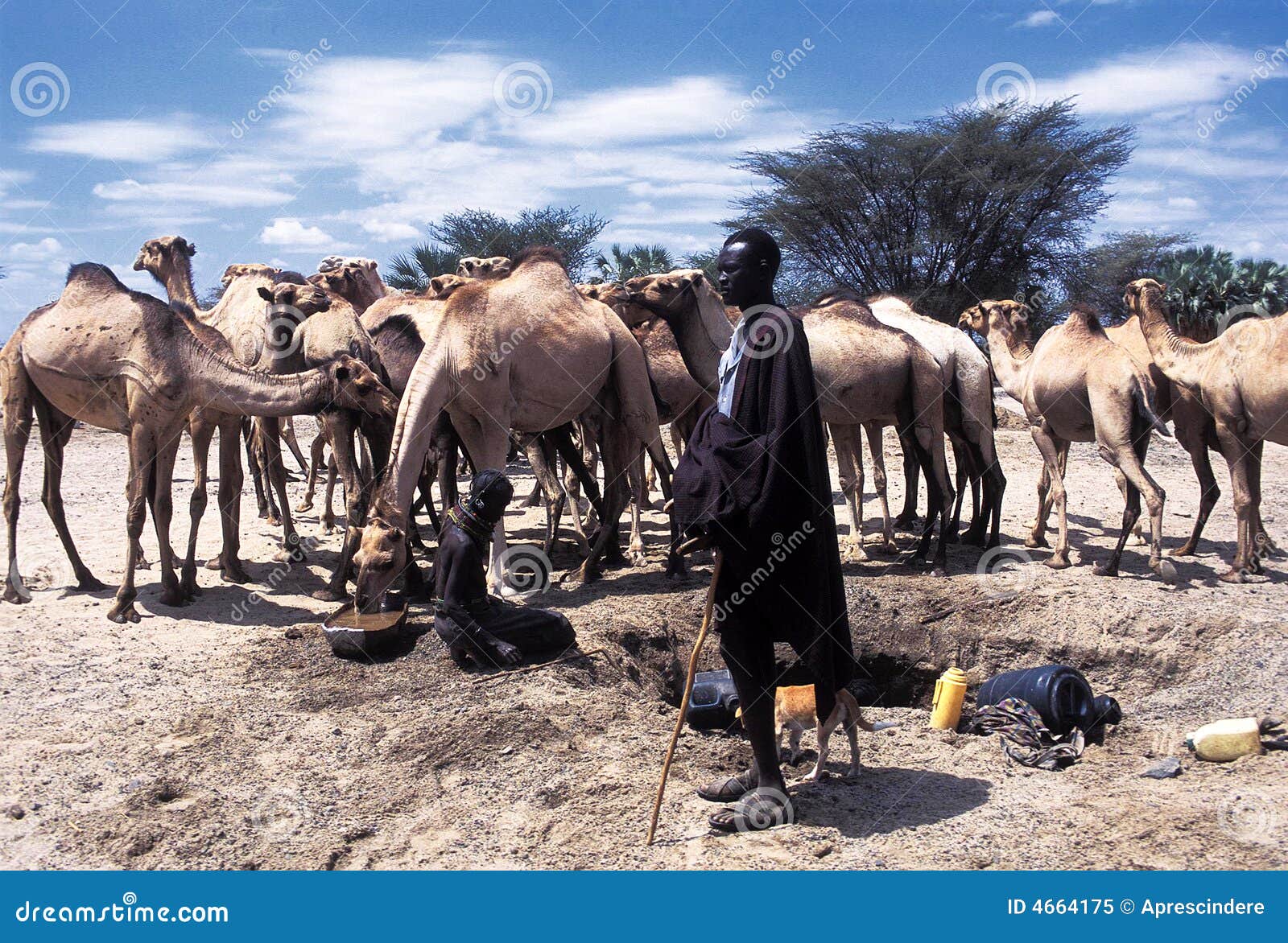 Turkana shepherd editorial image. Image of masai, tradition - 4664175