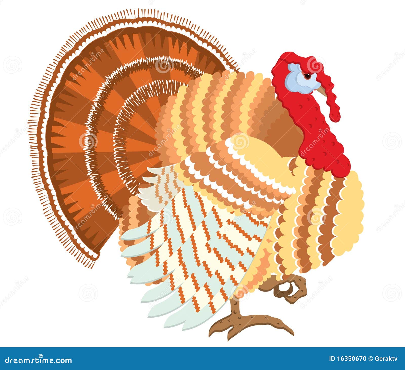 Turkey. stock vector. Illustration of beak, painted, turkey - 16350670