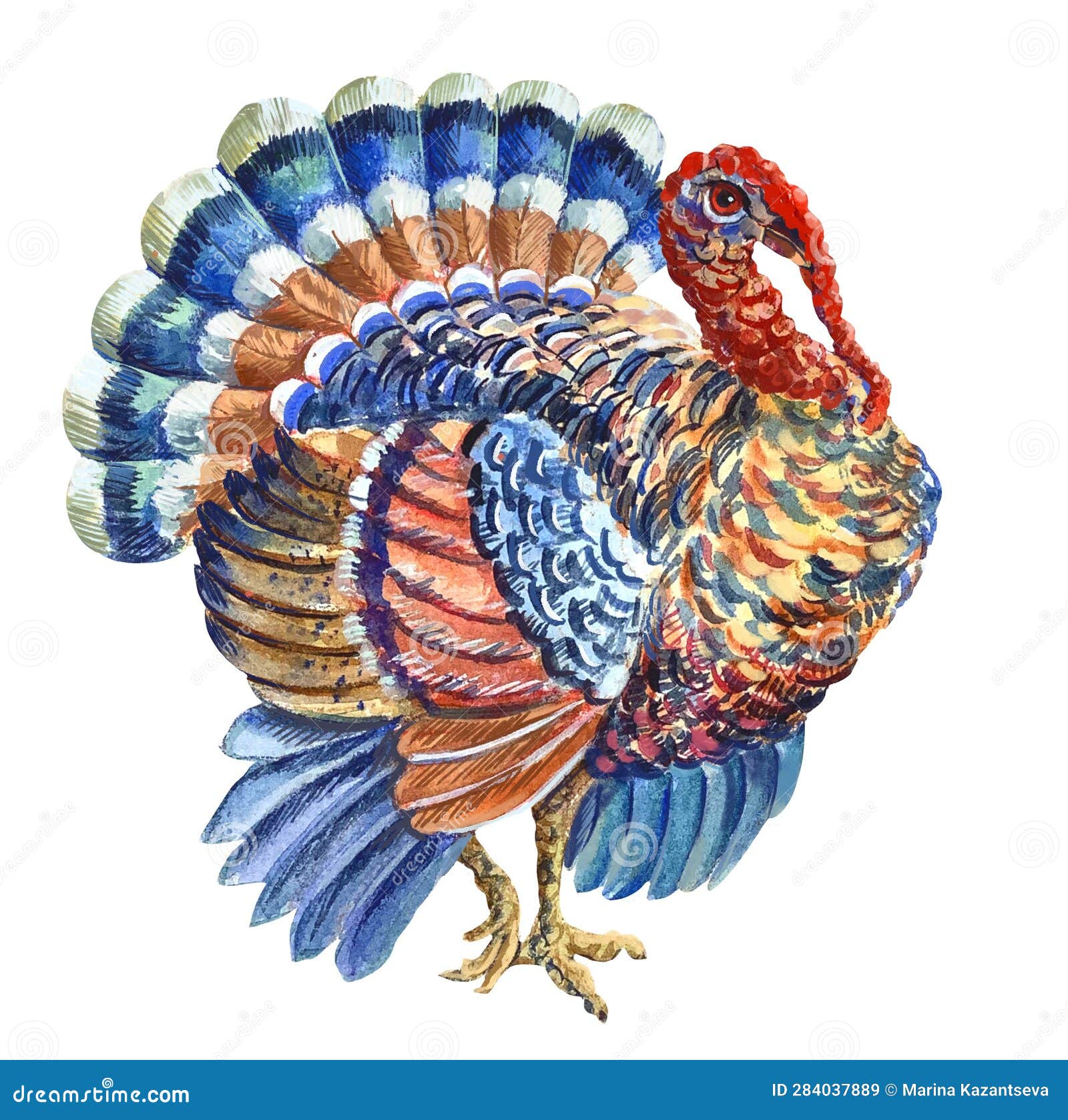Big Colorful Turkey, Poultry, Thanksgiving Day Stock Illustration ...