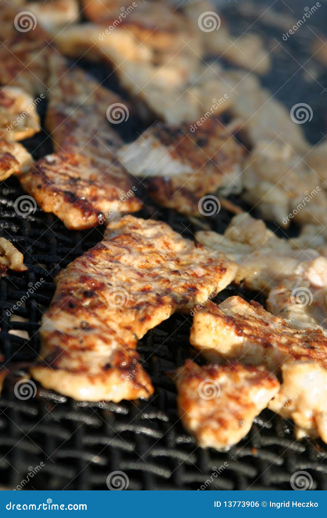 Turkey barbecue stock photo. Image of spice, delicious - 13773906