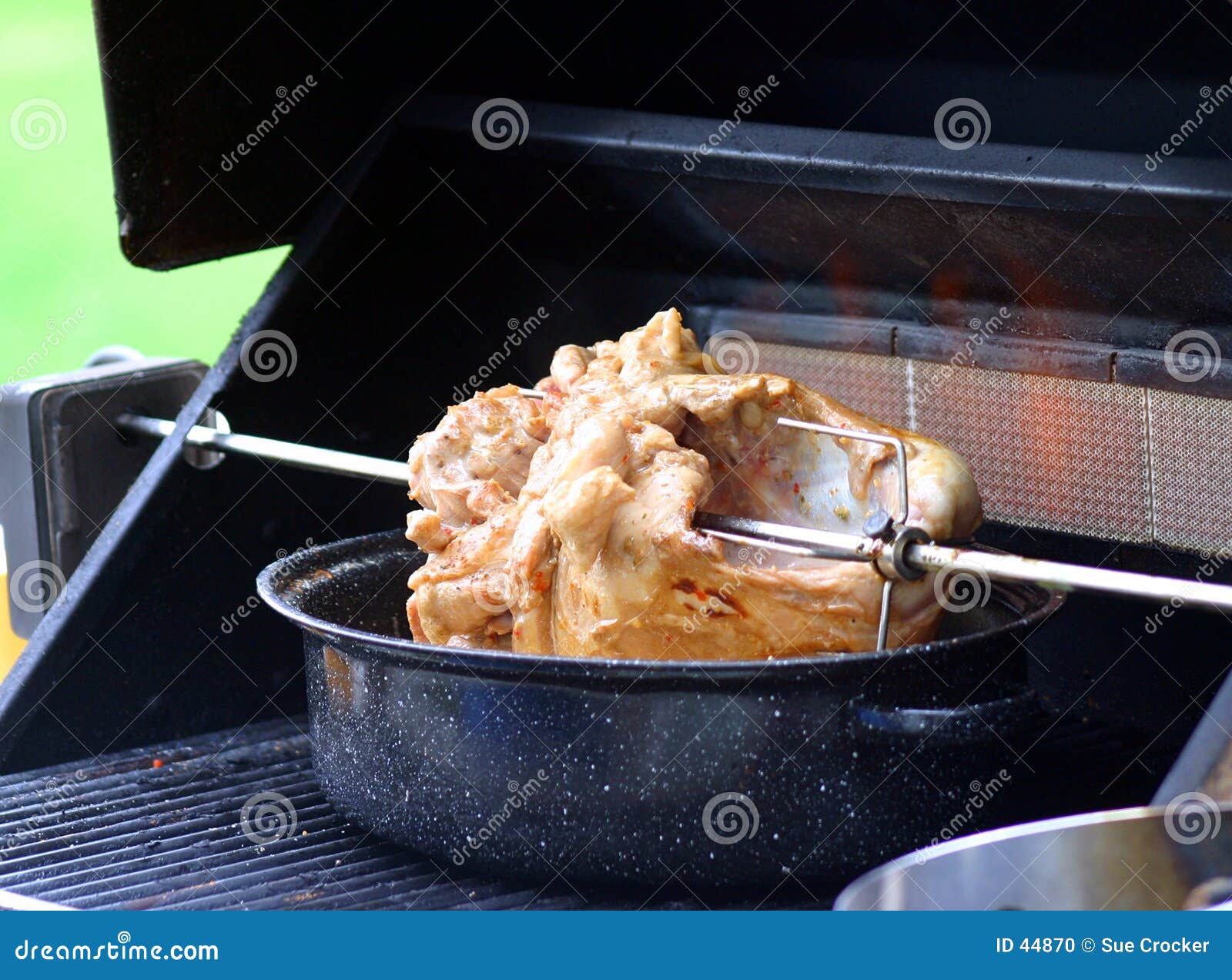 Turkey On The Barbie Picture. Image: 44870