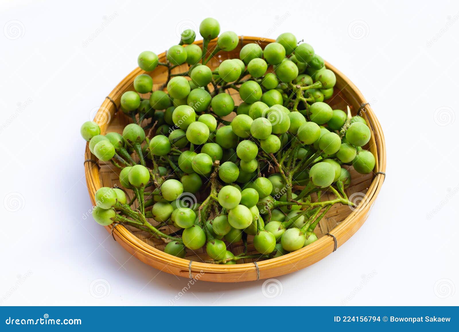 Turkey Berry Isolated on White Stock Photo - Image of outdoor, healthy ...