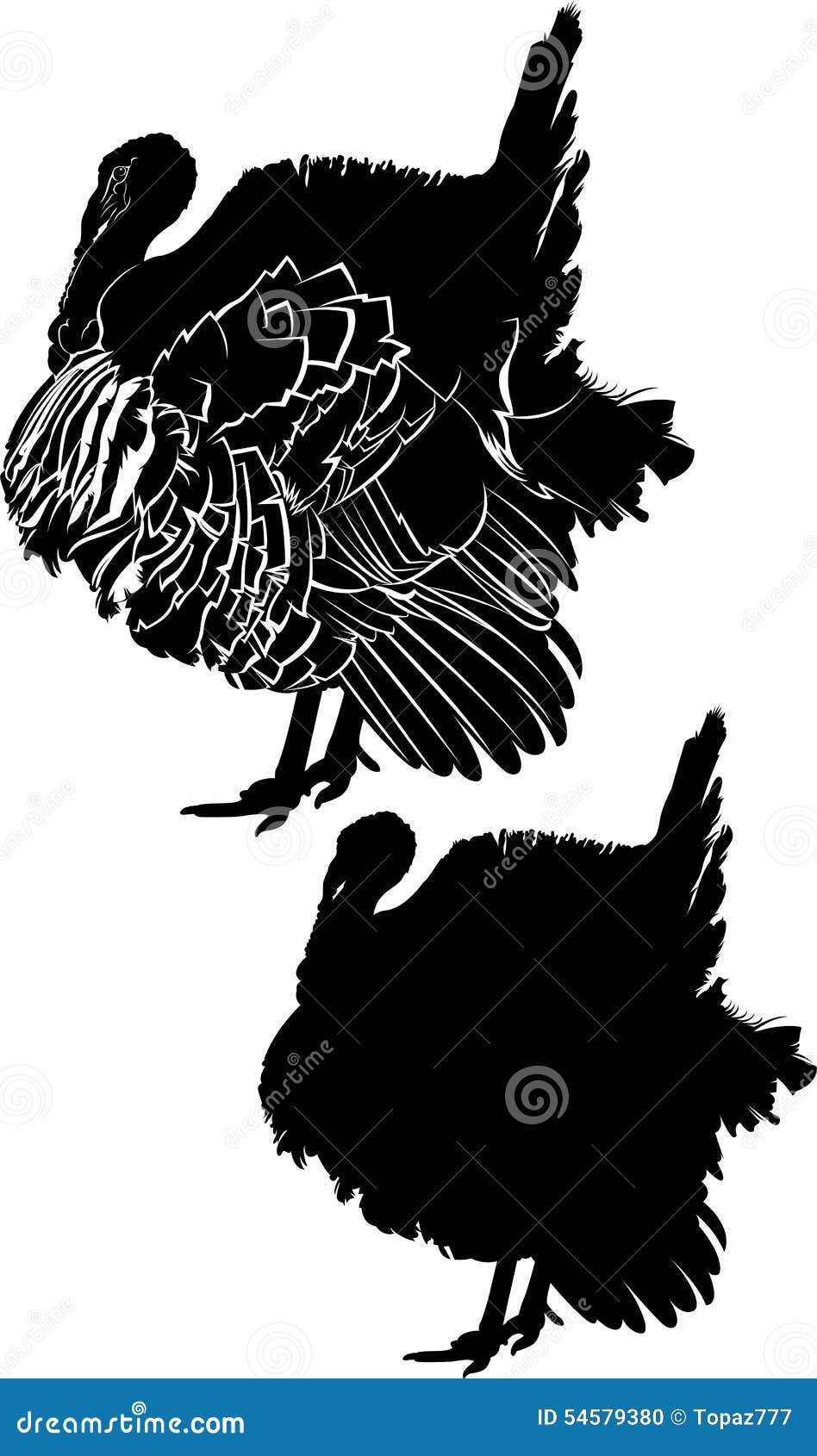 Turkey stock vector. Illustration of running, pilgrim - 54579380