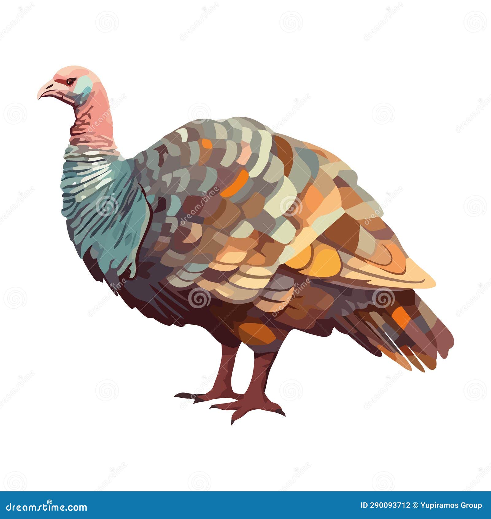 A Turkey Bird Nature, Feathers Shining Stock Illustration ...