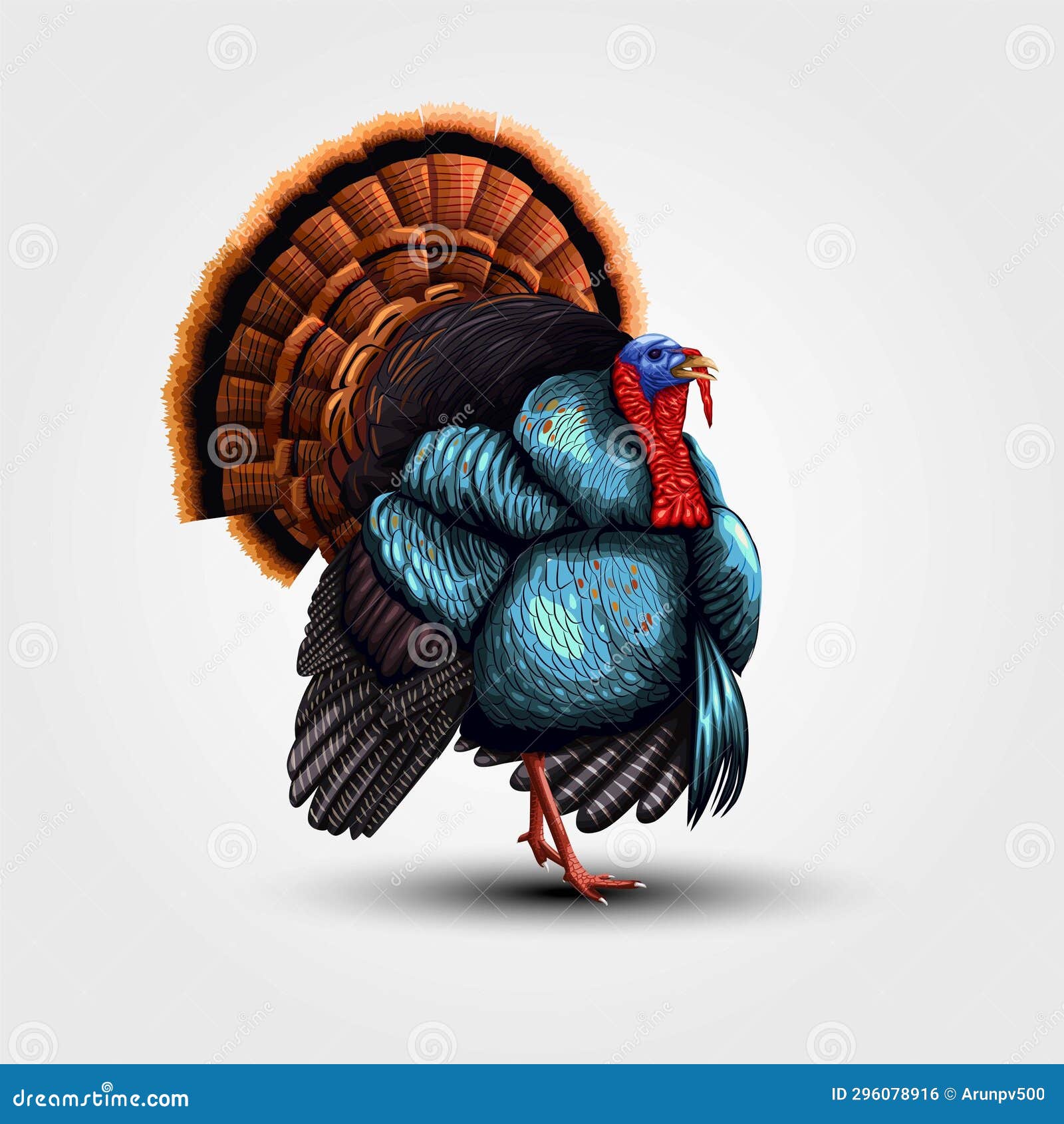 Turkey Bird Vector Illustration Stock Vector - Illustration of size ...