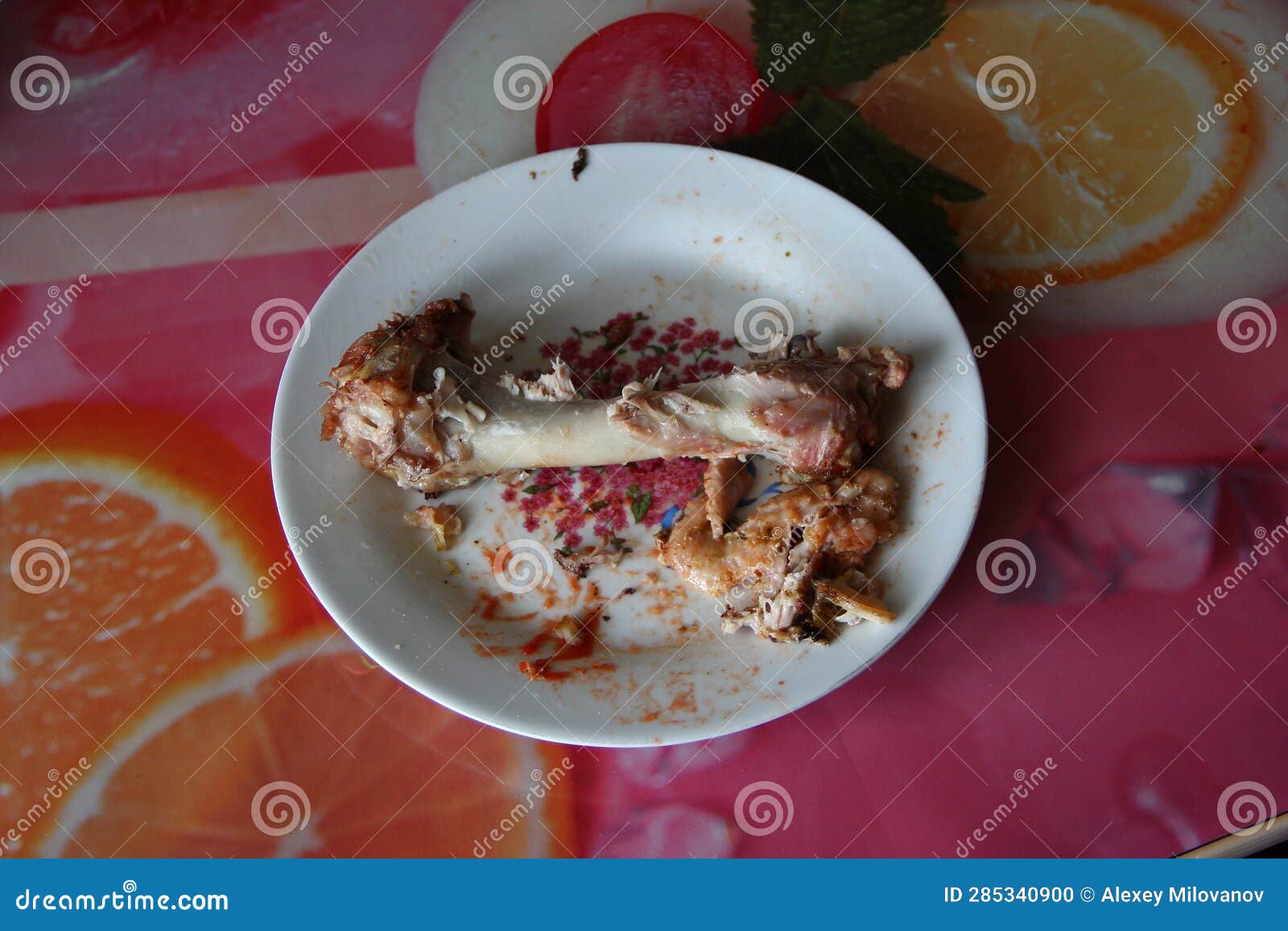 Turkey Bones after Eating on the Plate Stock Photo - Image of animal ...