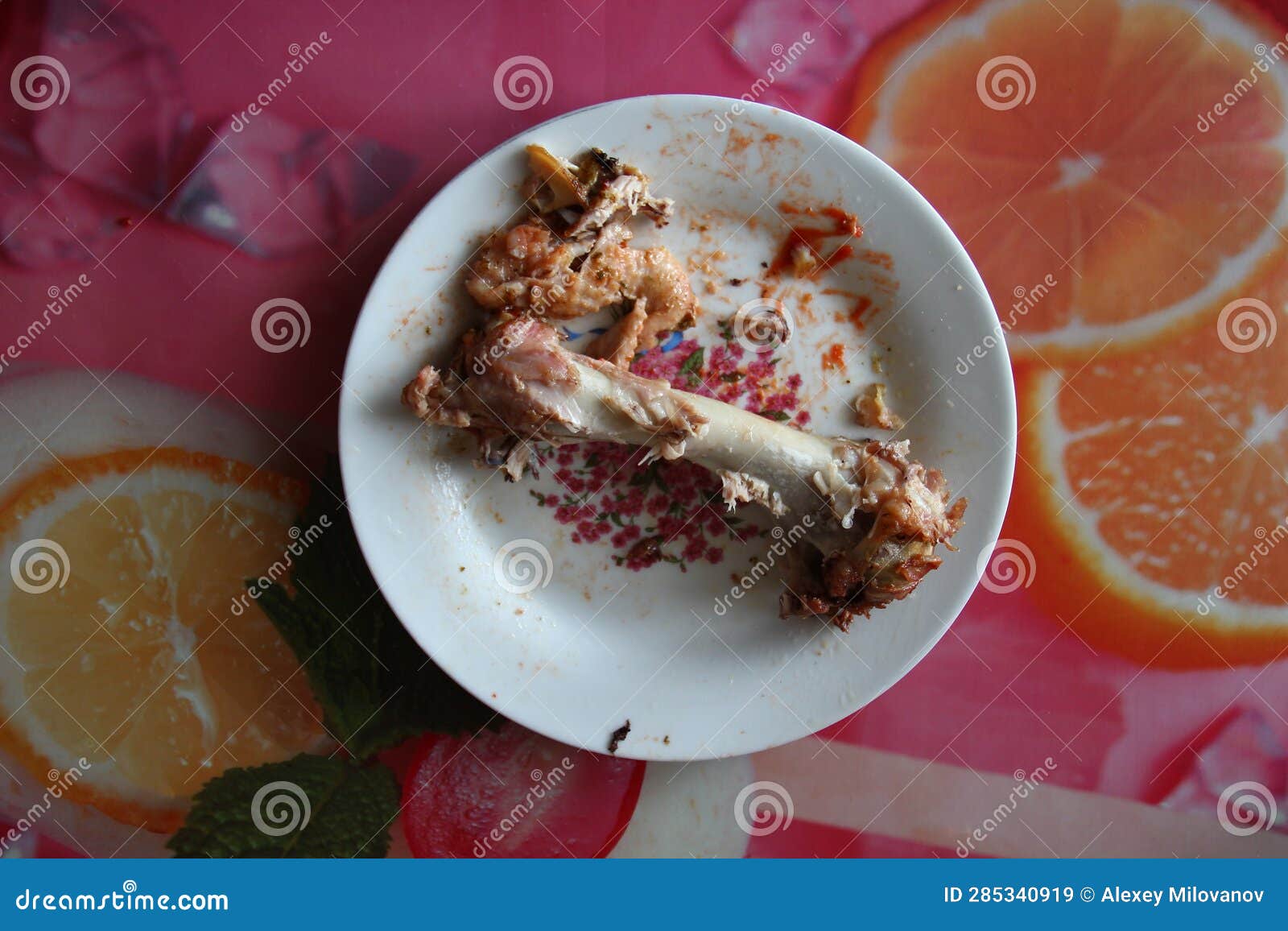 Turkey Bones after Eating on the Plate Stock Image - Image of food ...