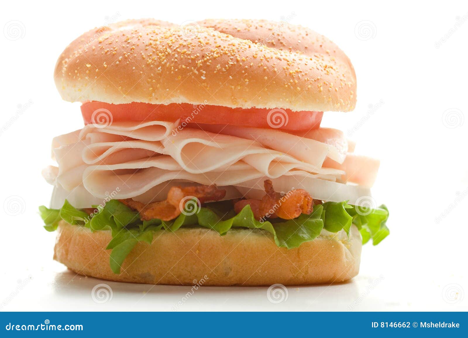Turkey on Bun stock photo. Image of deli, bread, roll - 8146662