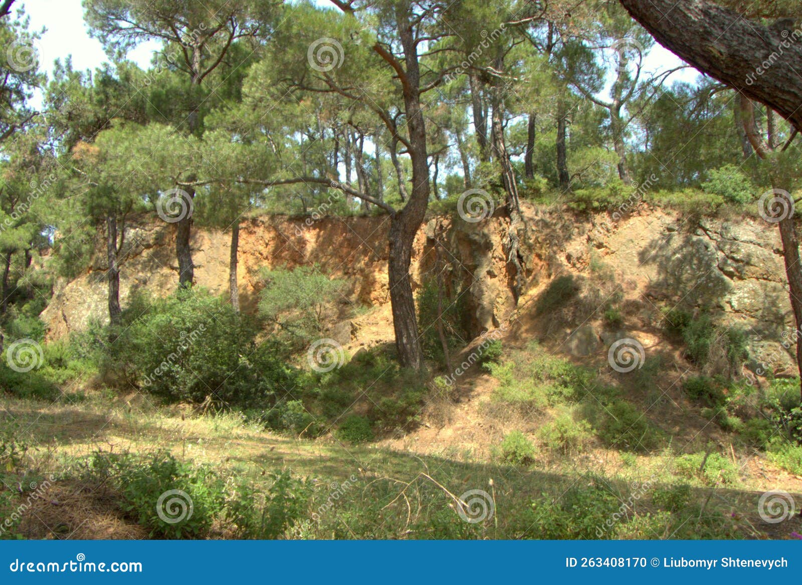 Turkey, Buyukada Island, Nature on the Island Stock Photo - Image of ...