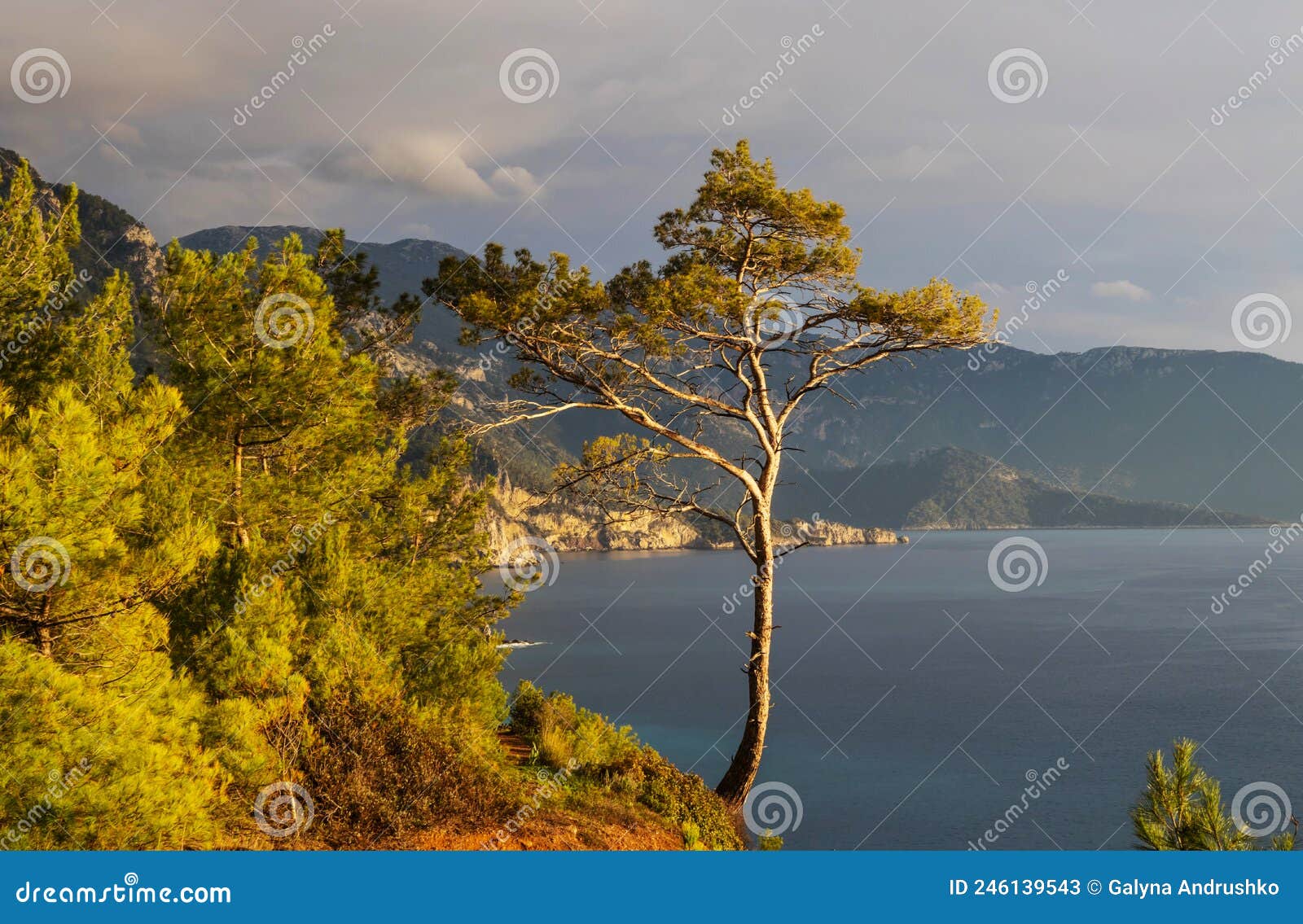 Turkey coast stock image. Image of harbor, mediterranean - 246139543