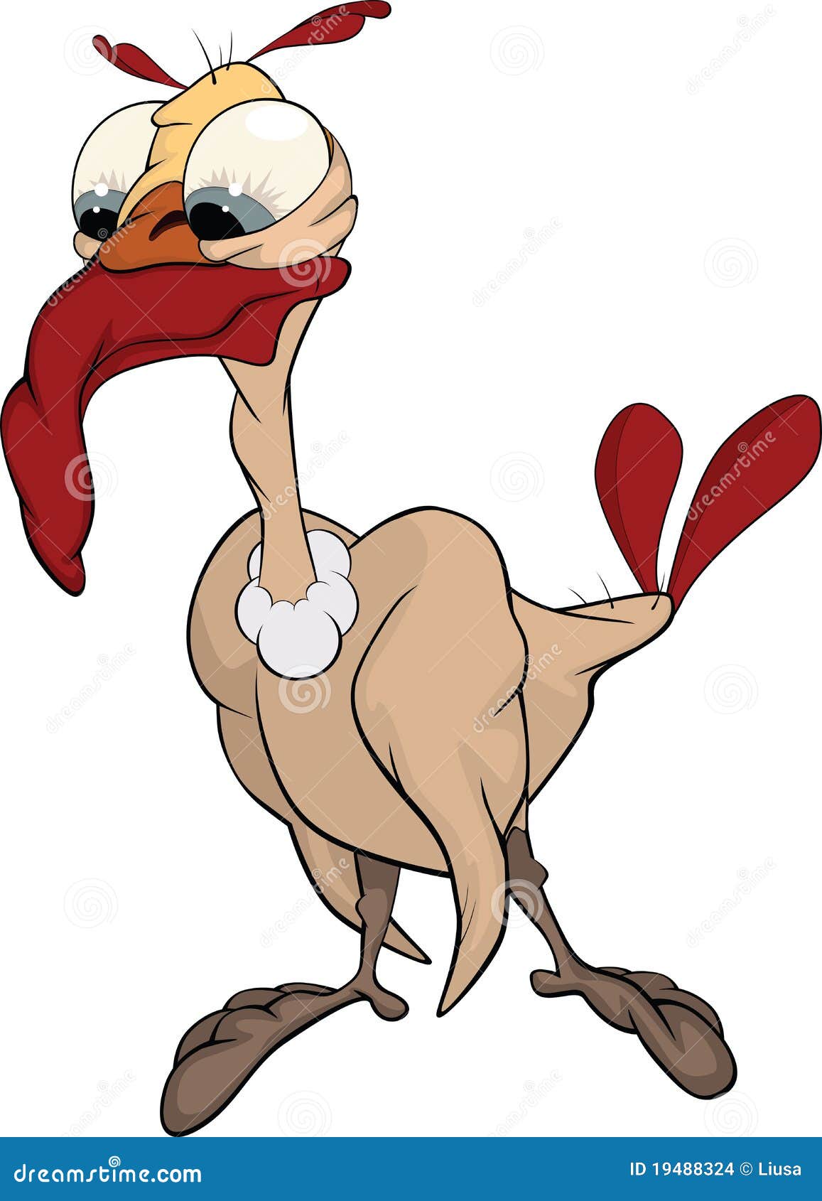 Turkey-cock. Cartoon stock vector. Illustration of rural - 19488324