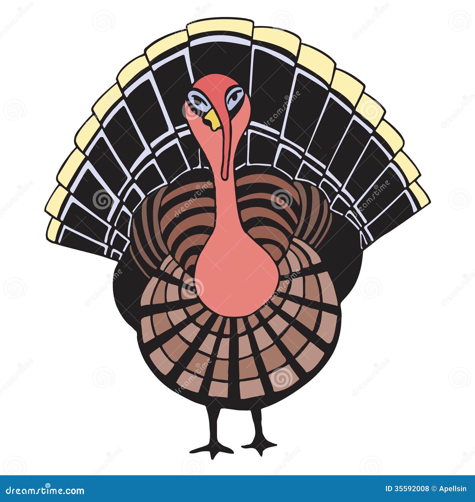 Turkey stock vector. Illustration of illustrations, birds - 35592008