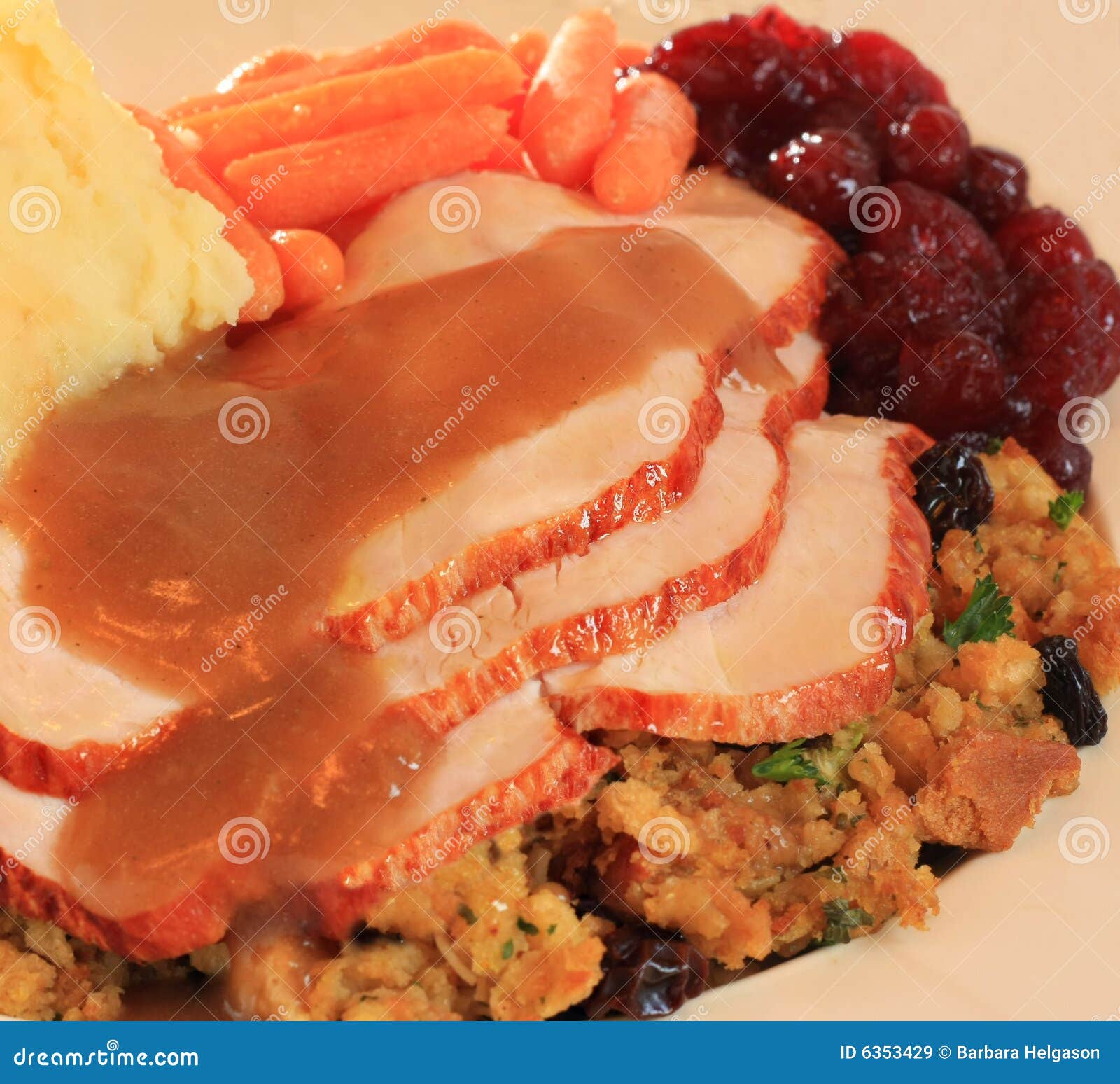 Turkey dinner stock image. Image of mashed, butter, cranberry - 6353429
