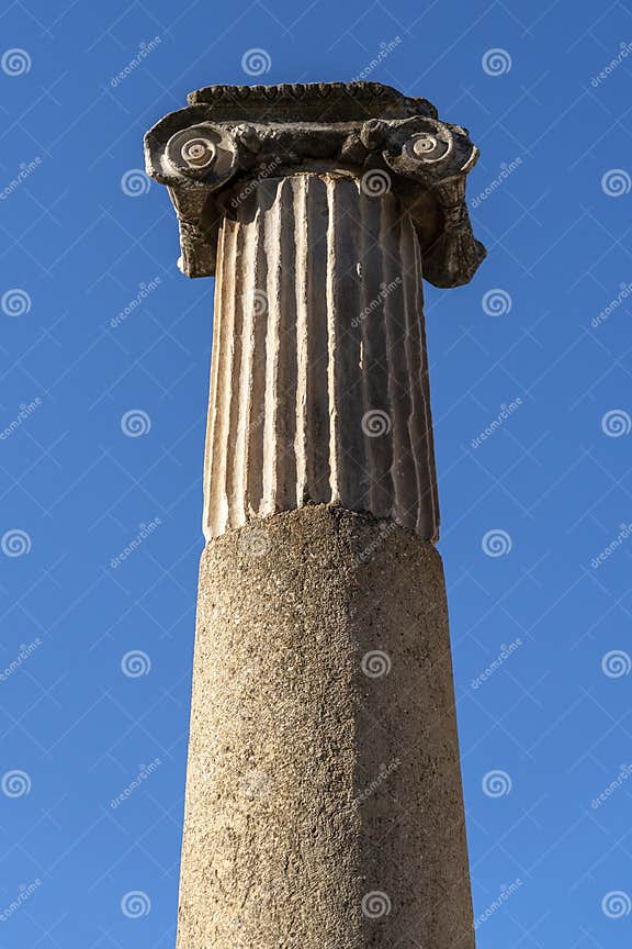 Turkey - Ephesus - Basilica Stoa Ionic Column Stock Photo - Image of ...